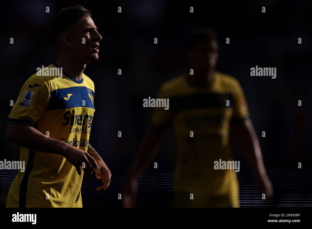 Suslov hi-res stock photography and images - Alamy