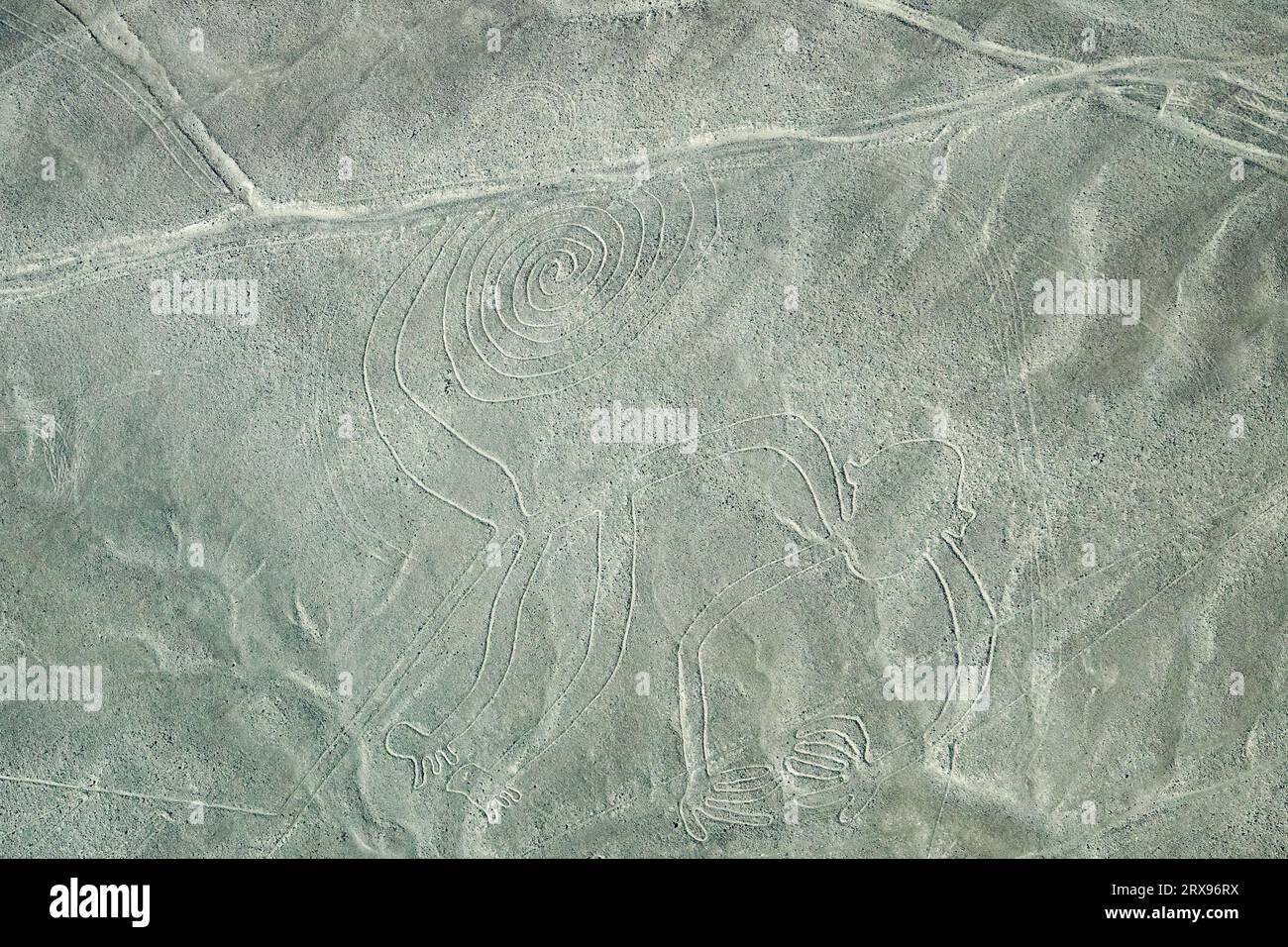 Petroglyphs peru hi-res stock photography and images - Alamy