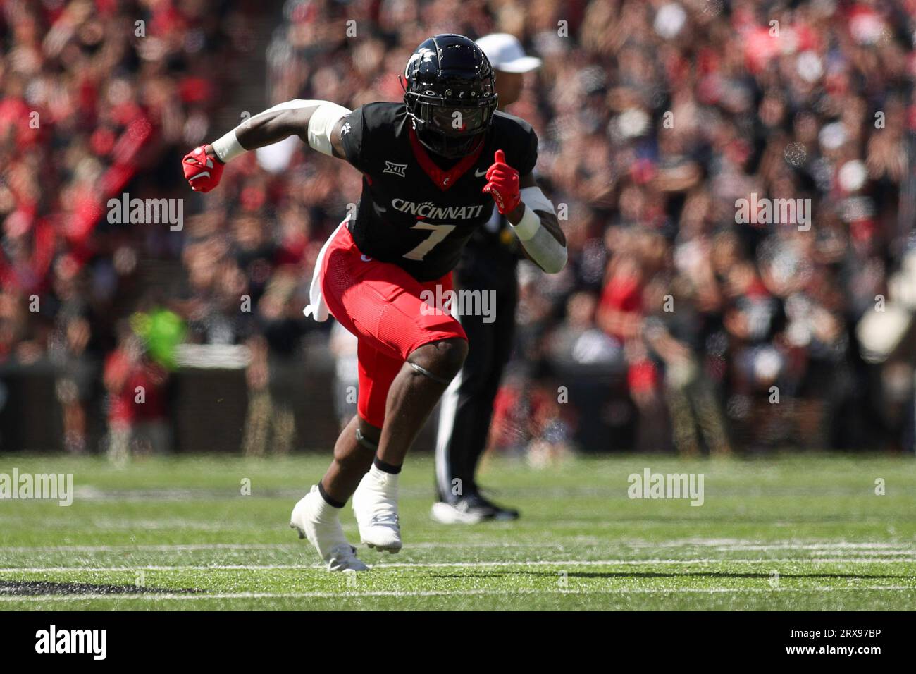 Métayer hi-res stock photography and images - Alamy