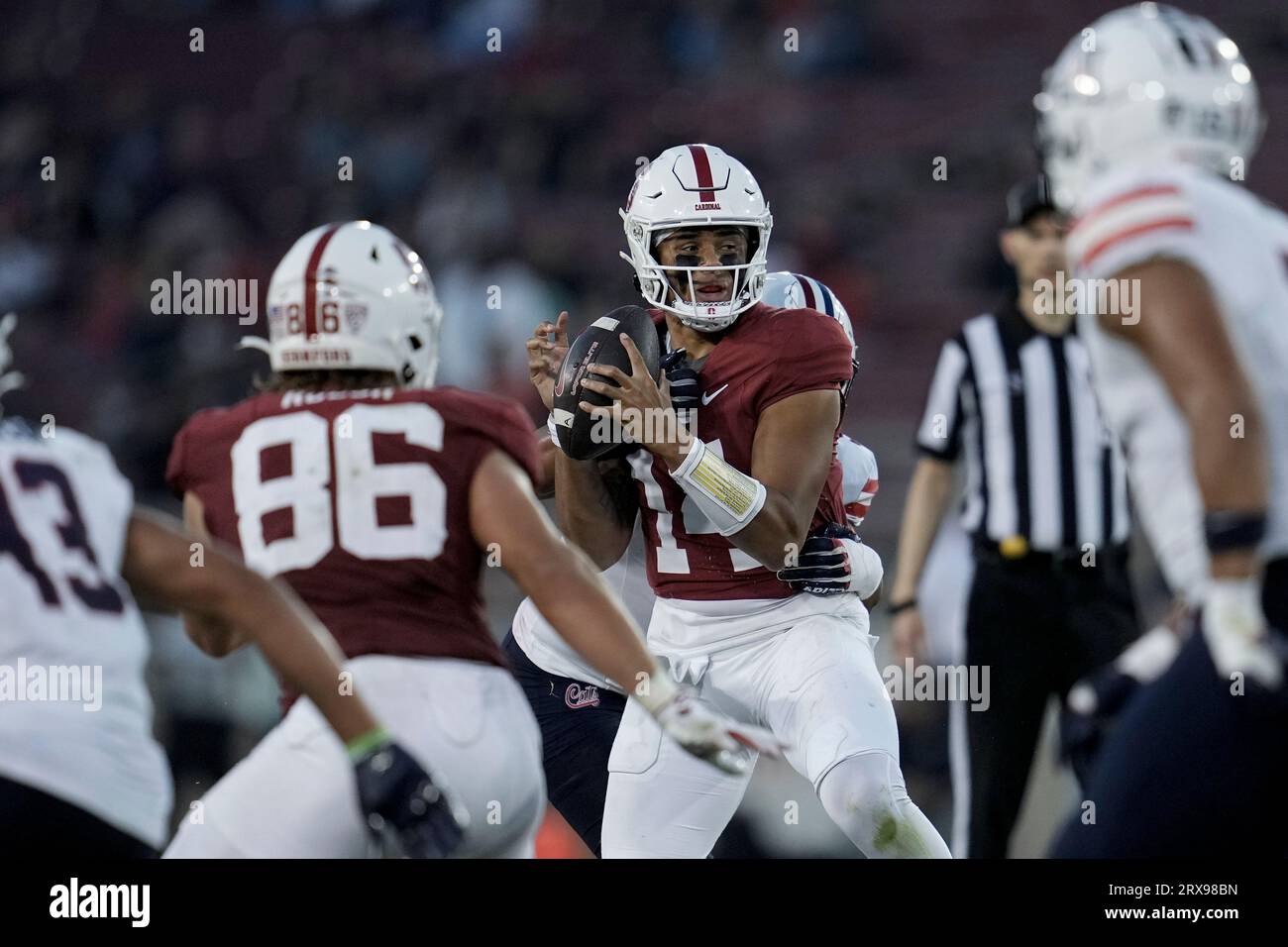 Stanford quarterback Ashton Daniels (14) is sacked by Arizona ...