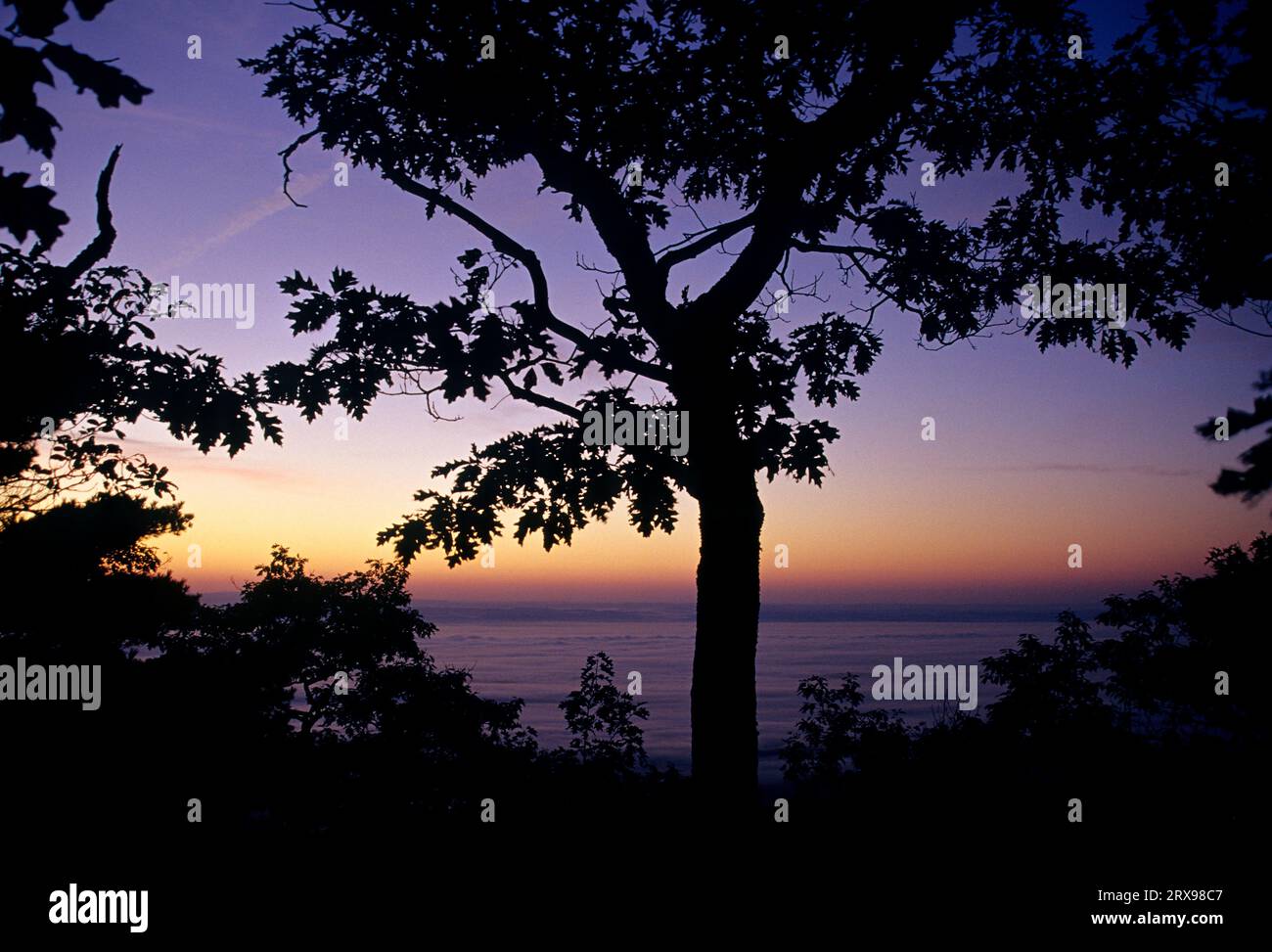 Sunrise from Escarpment Trail, Catskill Park, New York Stock Photo - Alamy