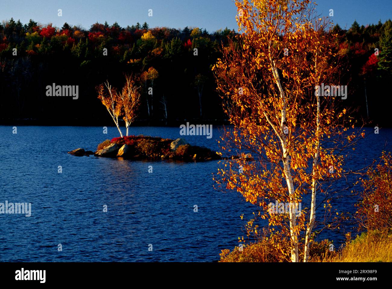 Tupper Lake, Adirondack Park, New York Stock Photo - Alamy