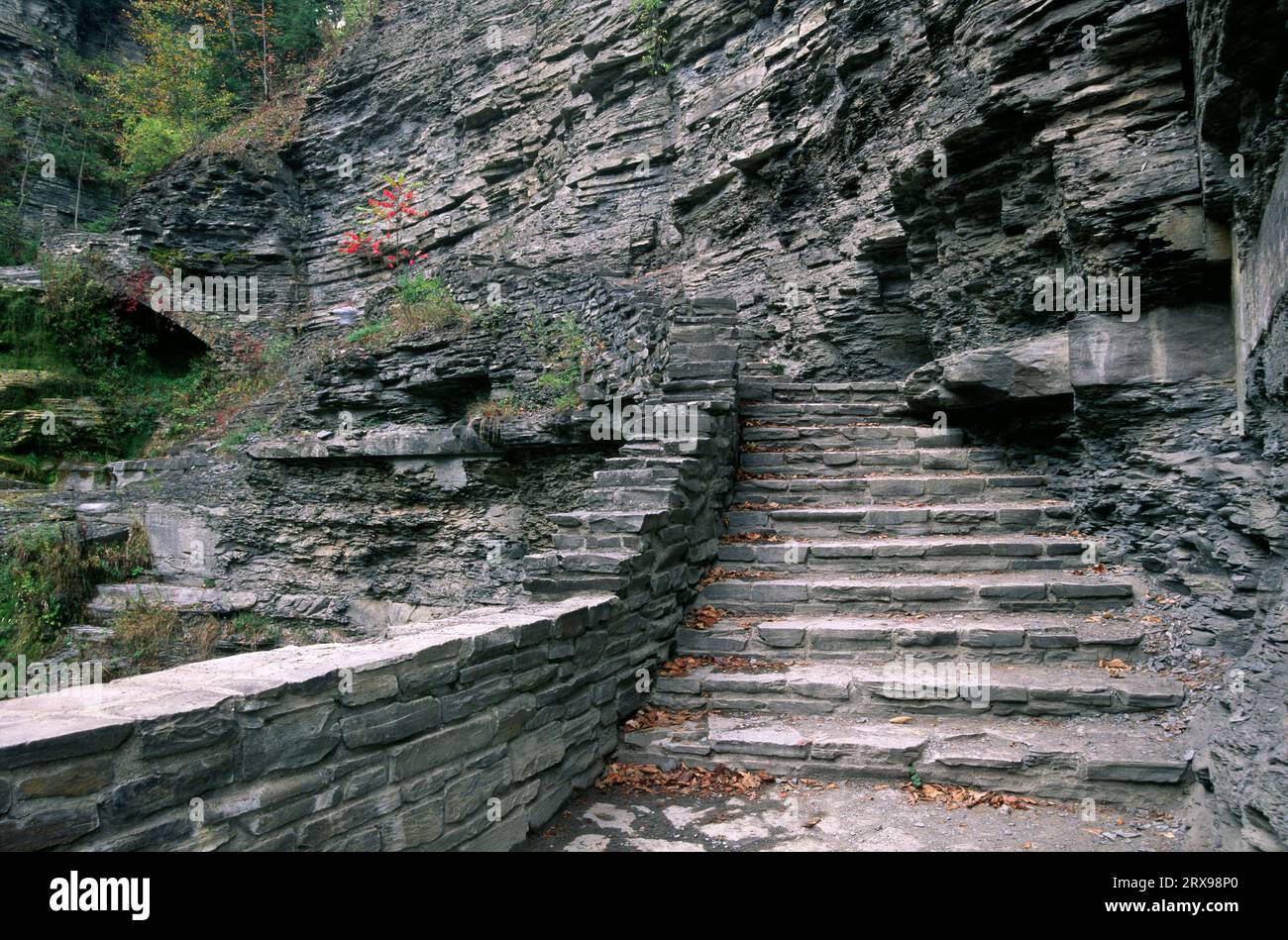 Gorge Trail stairs built by Civilian Conservation Corps (CCC), Robert H ...