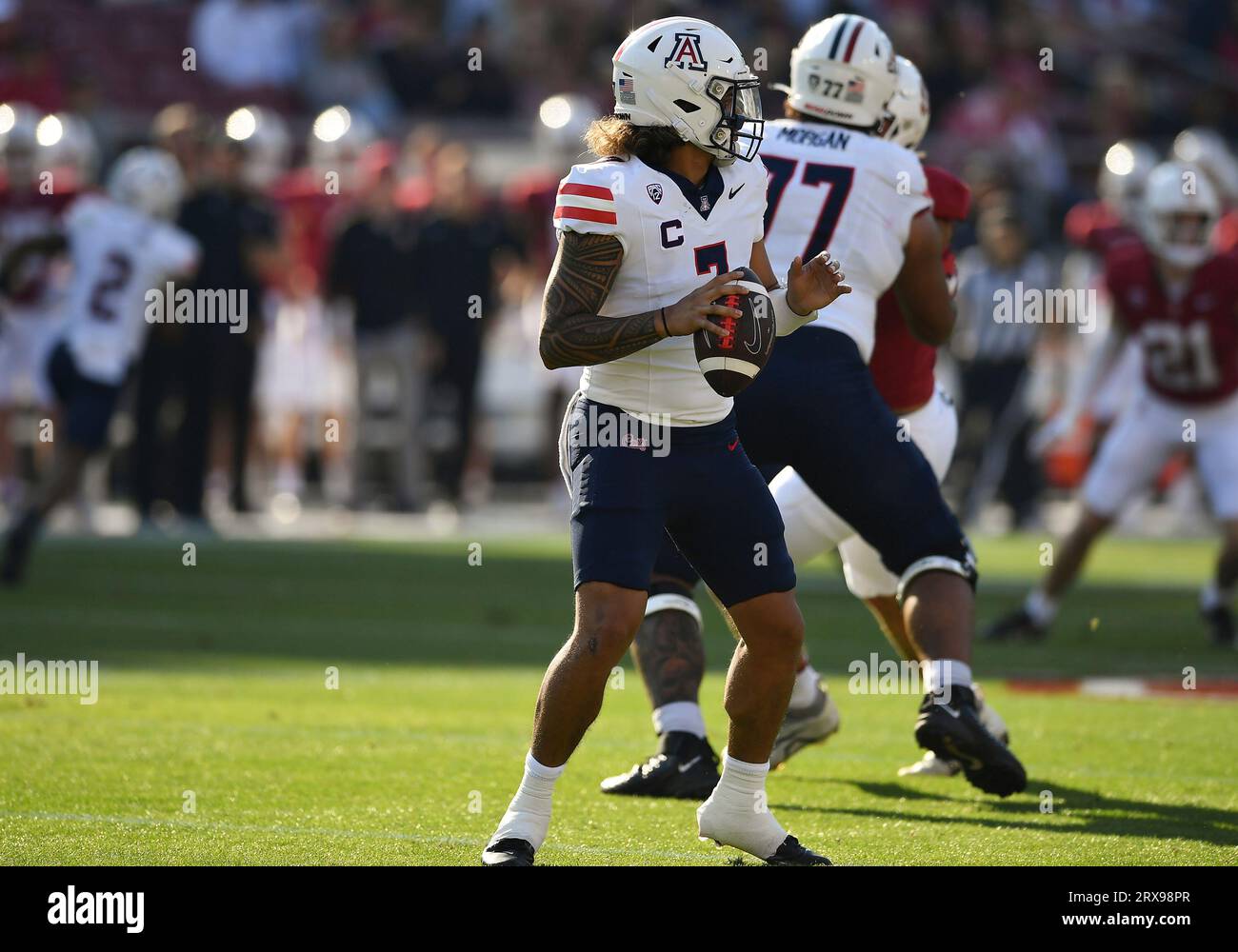 PALO ALTO, CA - SEPTEMBER 23: Arizona Wildcats quarterback Jayden de ...