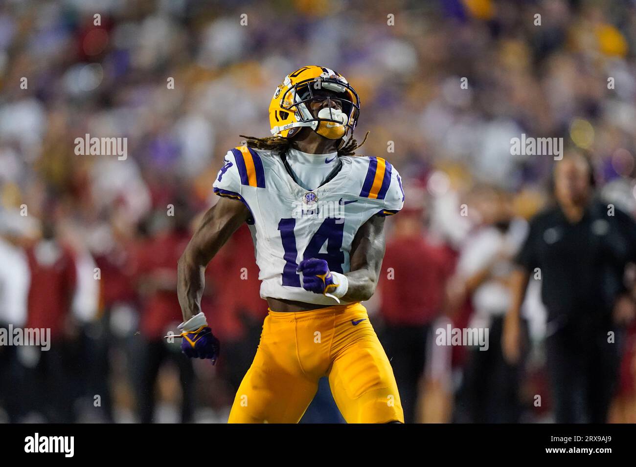 LSU safety Andre' Sam (14) celebrates a defensive stop in the second ...