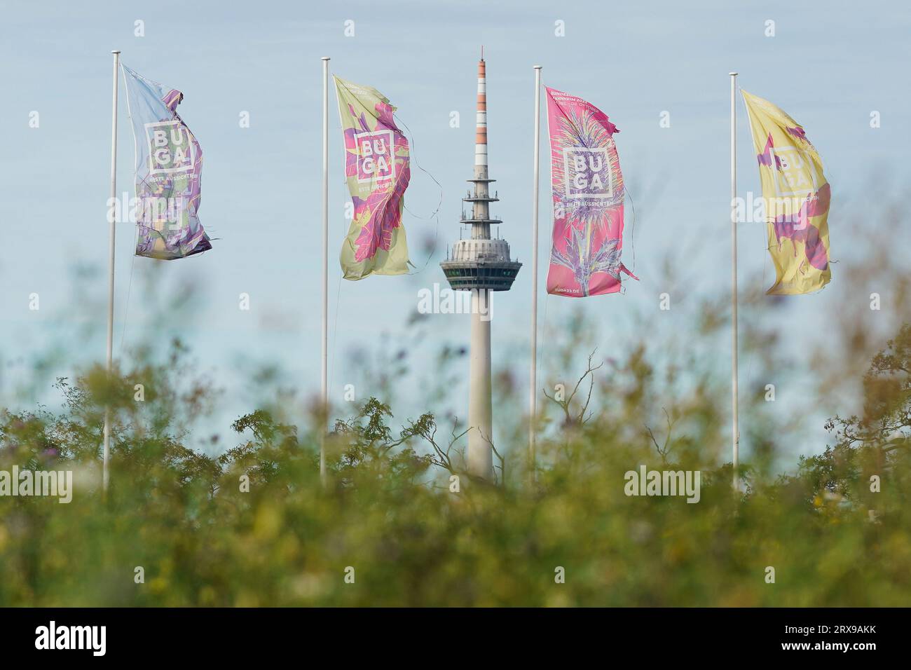 Mannheim, Germany. 20th Sep, 2023. Flags with the words "BUGA" waving ...