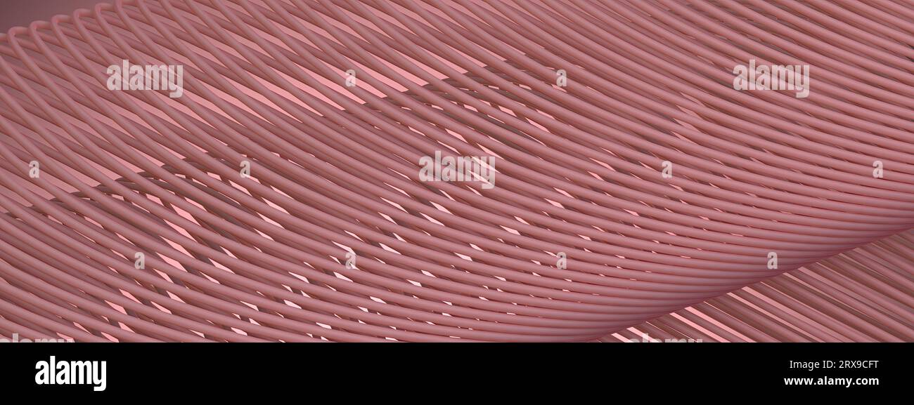 Pink Elegant Modern 3D Rendering image background of enlarged threads ...