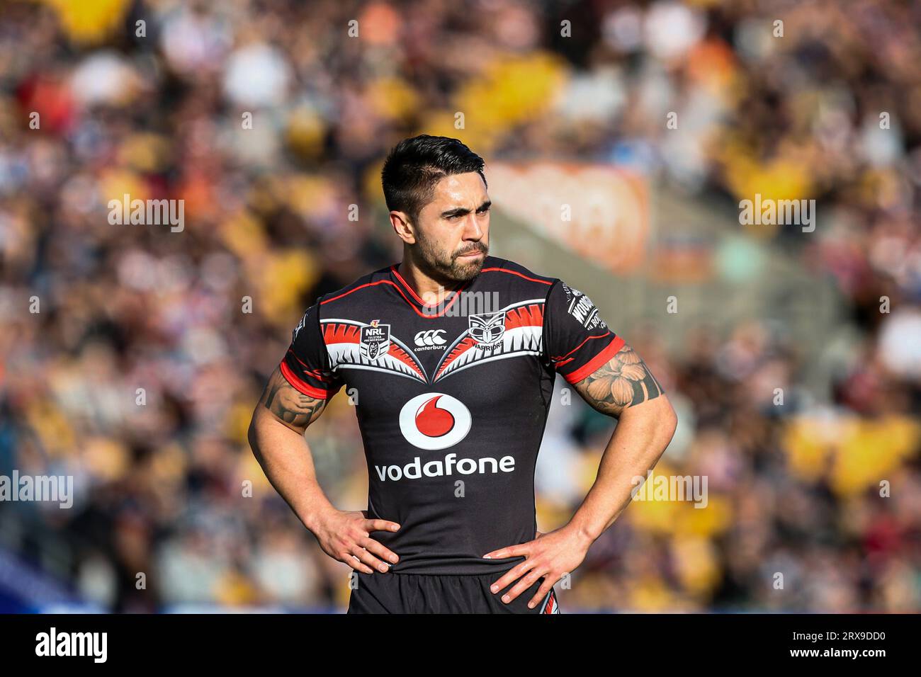 Shaun johnson rugby new zealand hi-res stock photography and images - Alamy