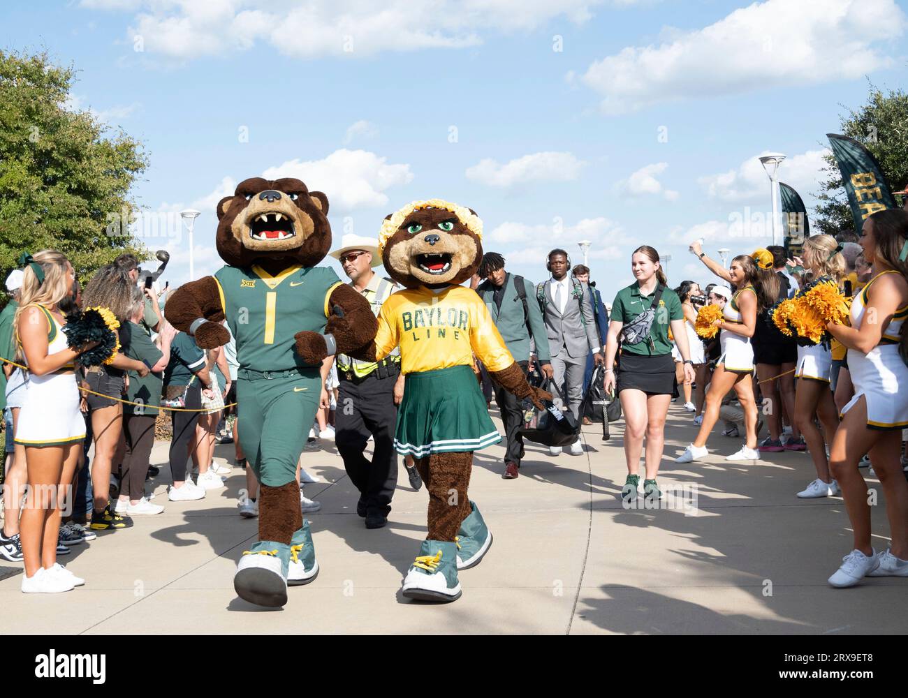 September 23 2023: Baylor Bears mascots walk the bear walk before the ...