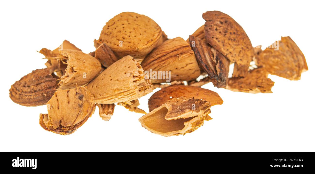 Almond shells isolated on white background Stock Photo - Alamy