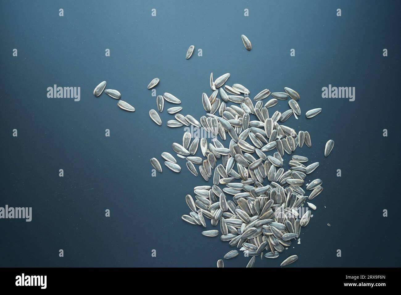 sun flower seeds spilling on black background Stock Photo - Alamy