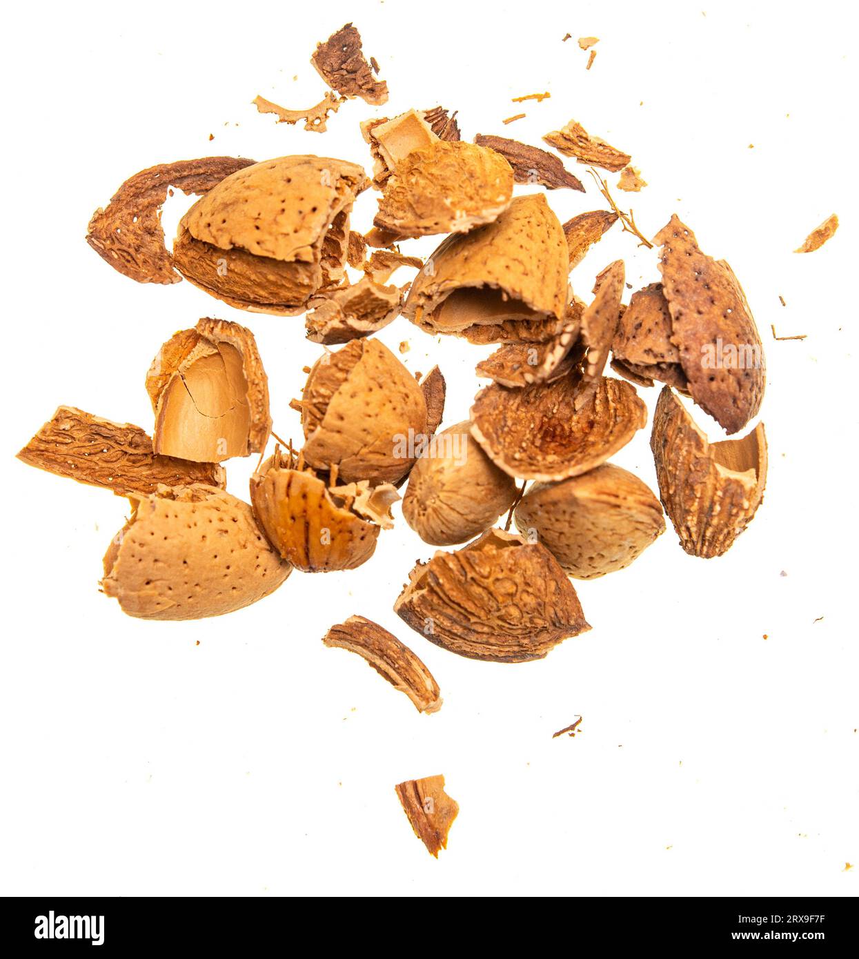 Almond shells isolated on white background Stock Photo - Alamy