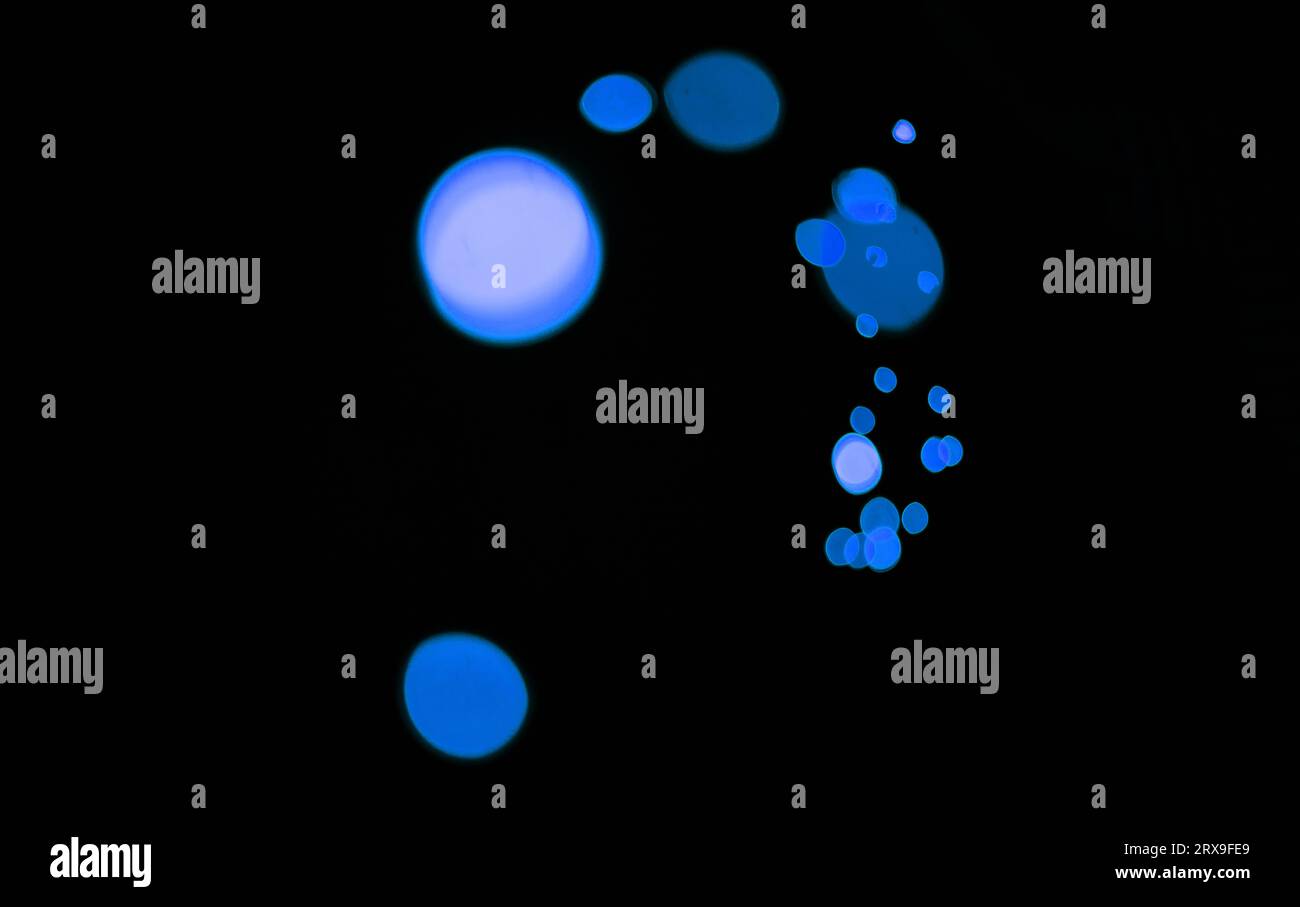 Bokeh, blue particles and lights on dark background with pattern ...