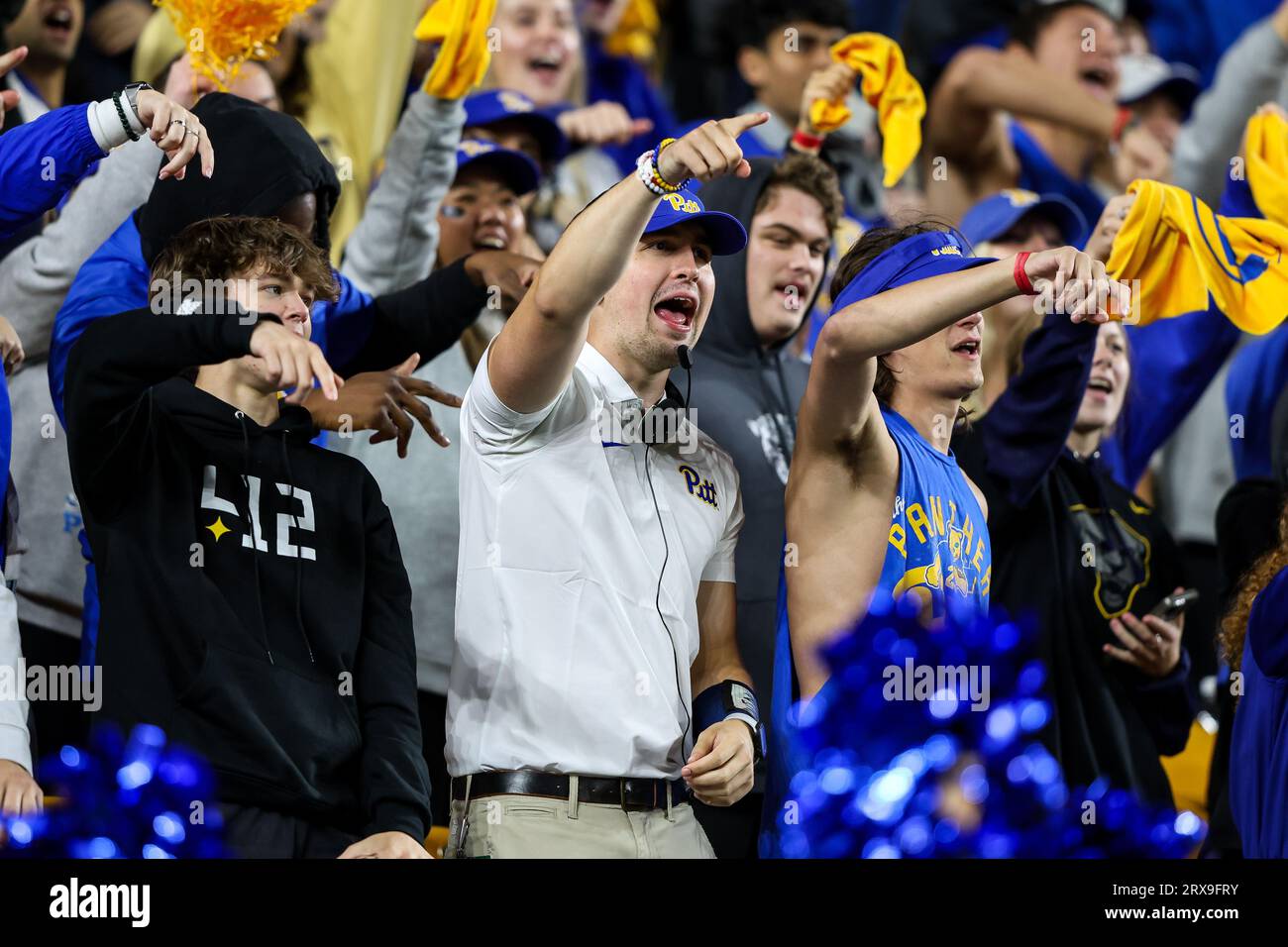 Pittsburgh panther hi-res stock photography and images - Alamy