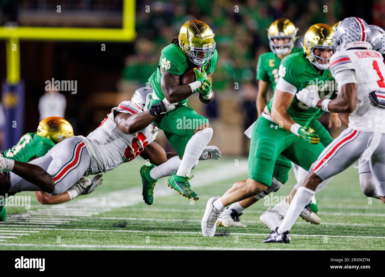 USA. 23rd Sep, 2023. September 23, 2023: Notre Dame running back Gi ...