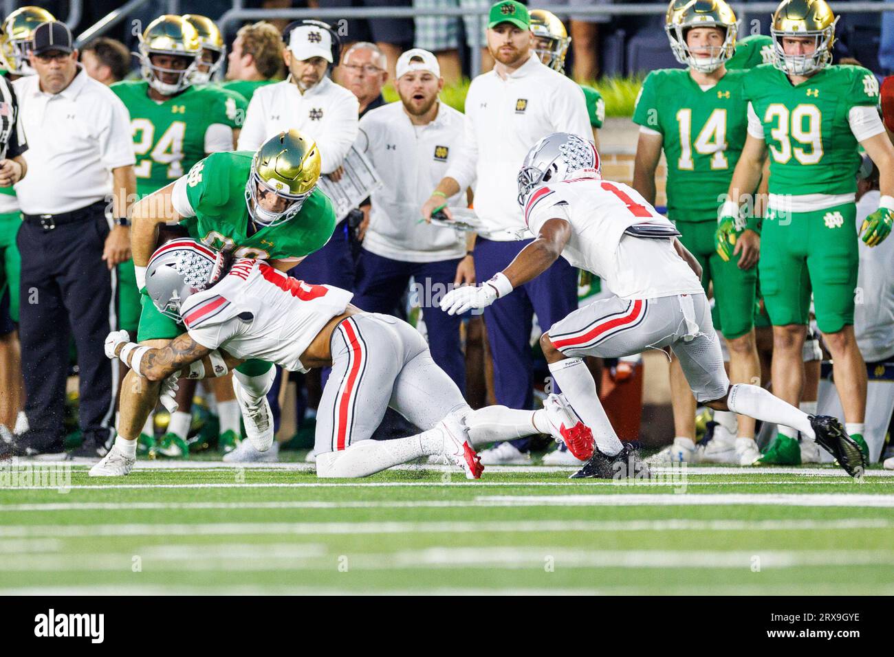 USA. 23rd Sep, 2023. September 23, 2023: Notre Dame tight end Mitchell ...