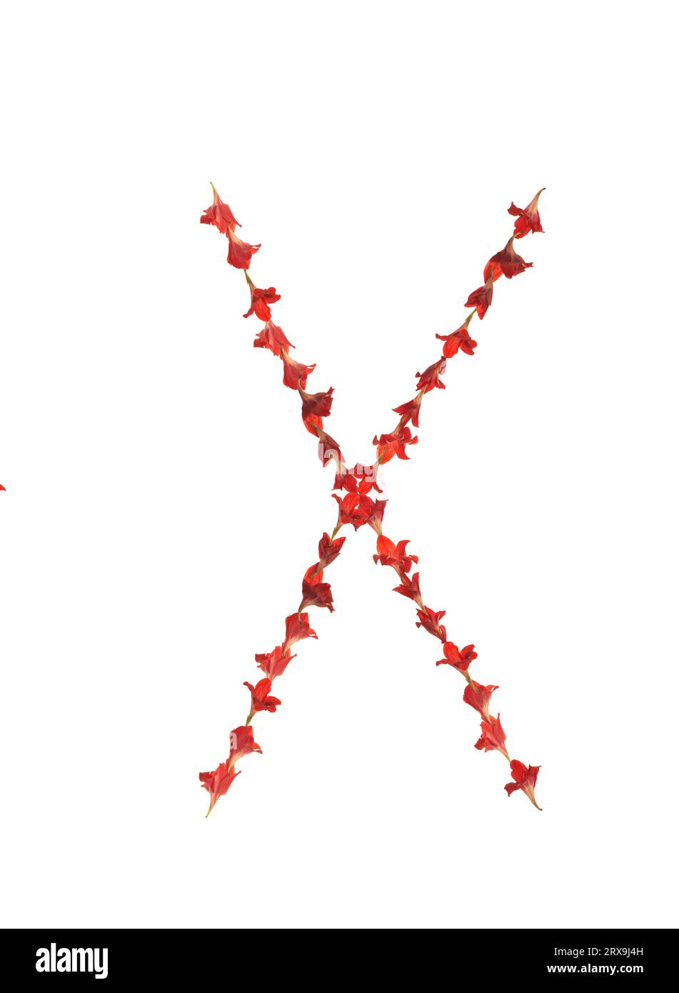 Letter x and z hi-res stock photography and images - Alamy