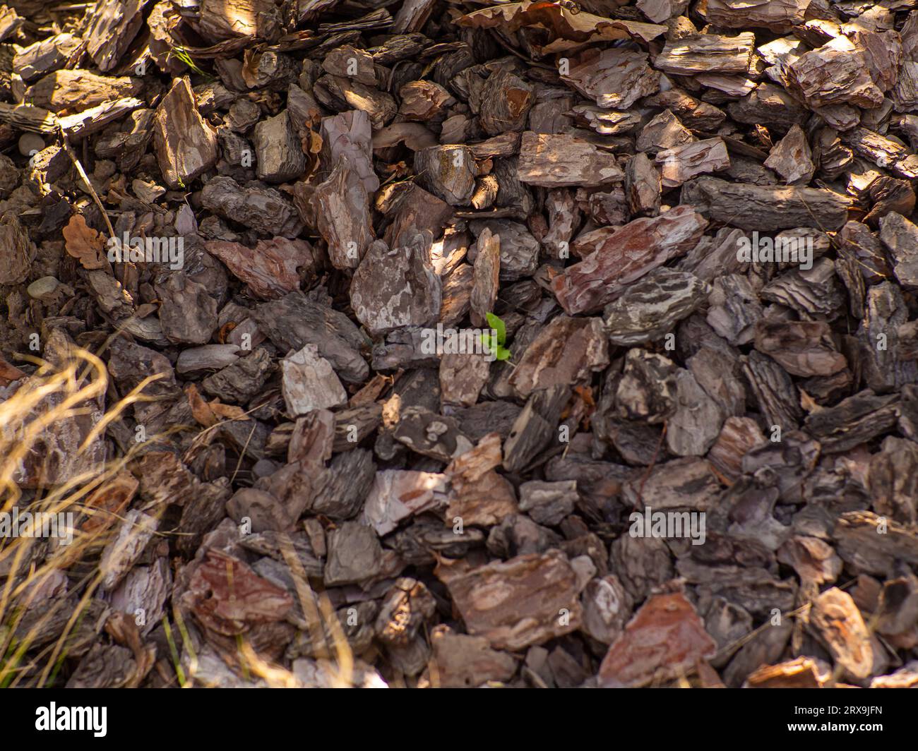 Cork bark pile hi-res stock photography and images - Alamy