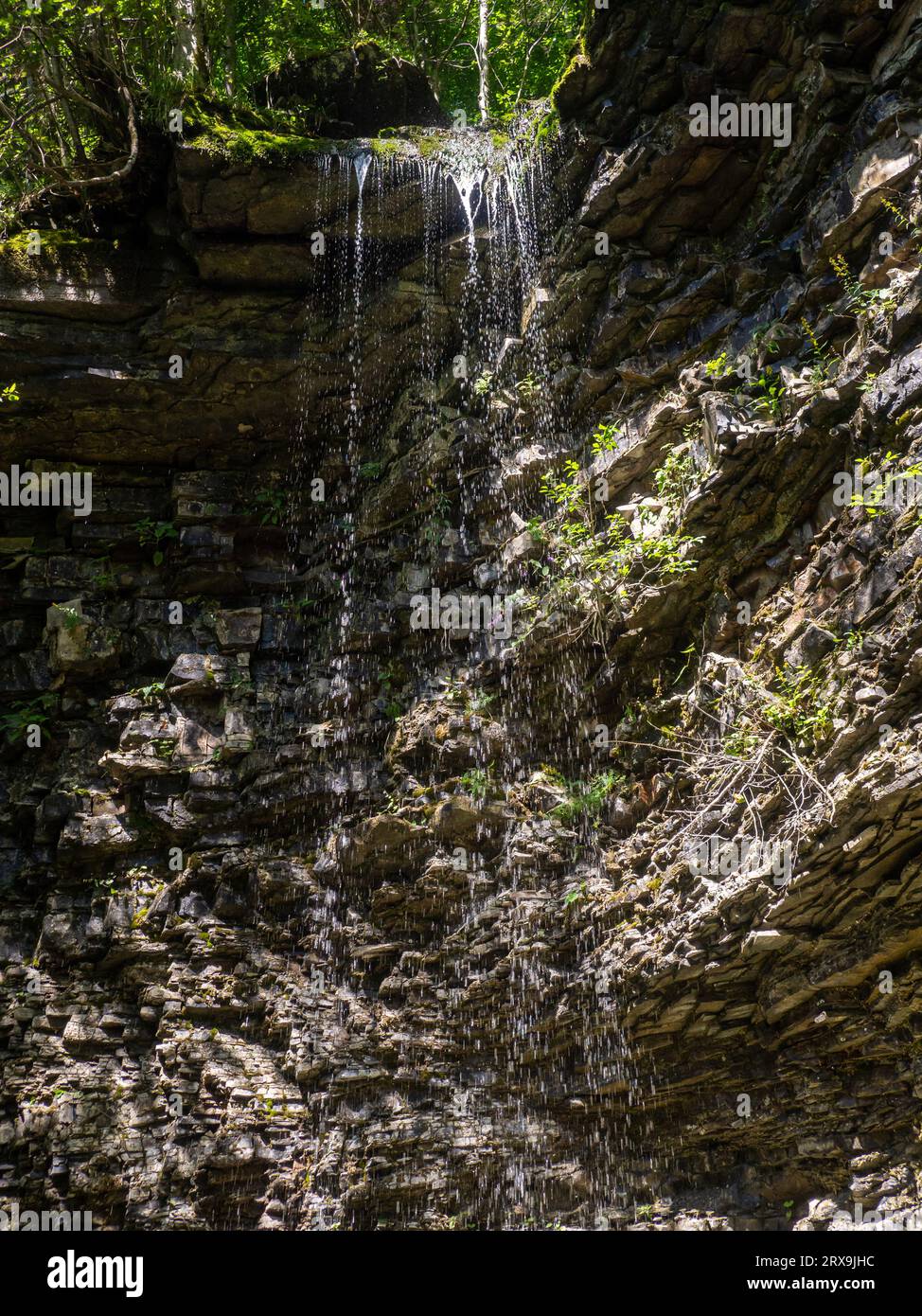 View of falling water from a cliff in the forest. Bottom-up view of a ...
