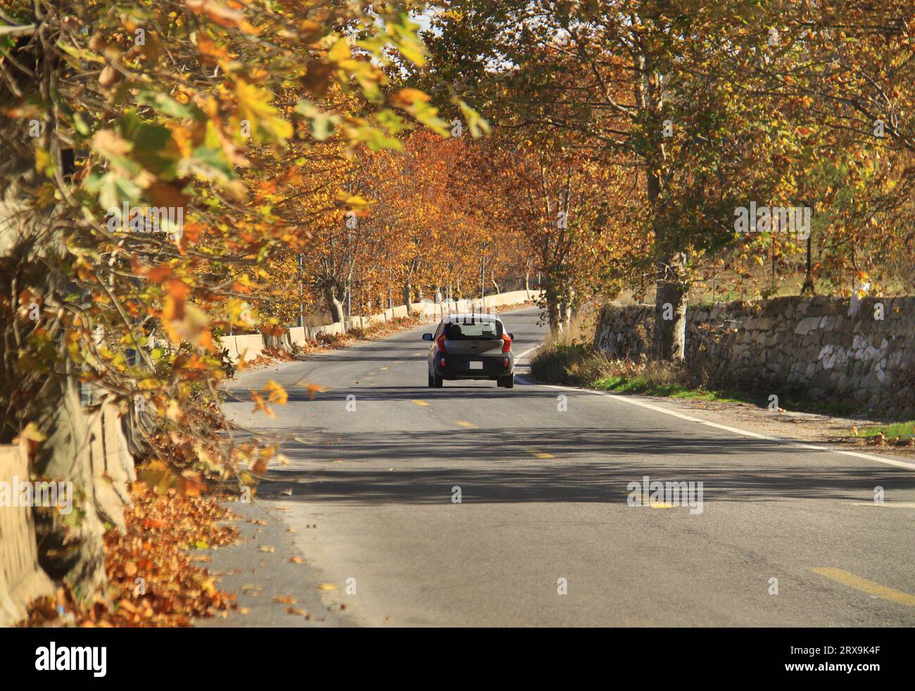 A small car driving down a road during autumn in Sawfar, Lebanon Stock ...