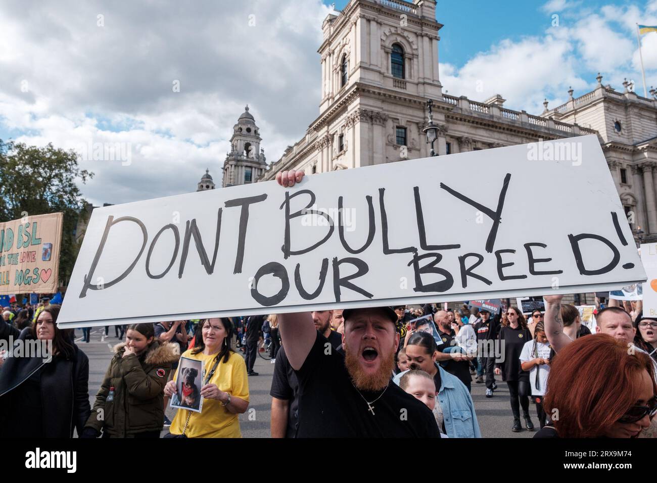 Xl bully breed controversy hi-res stock photography and images - Alamy