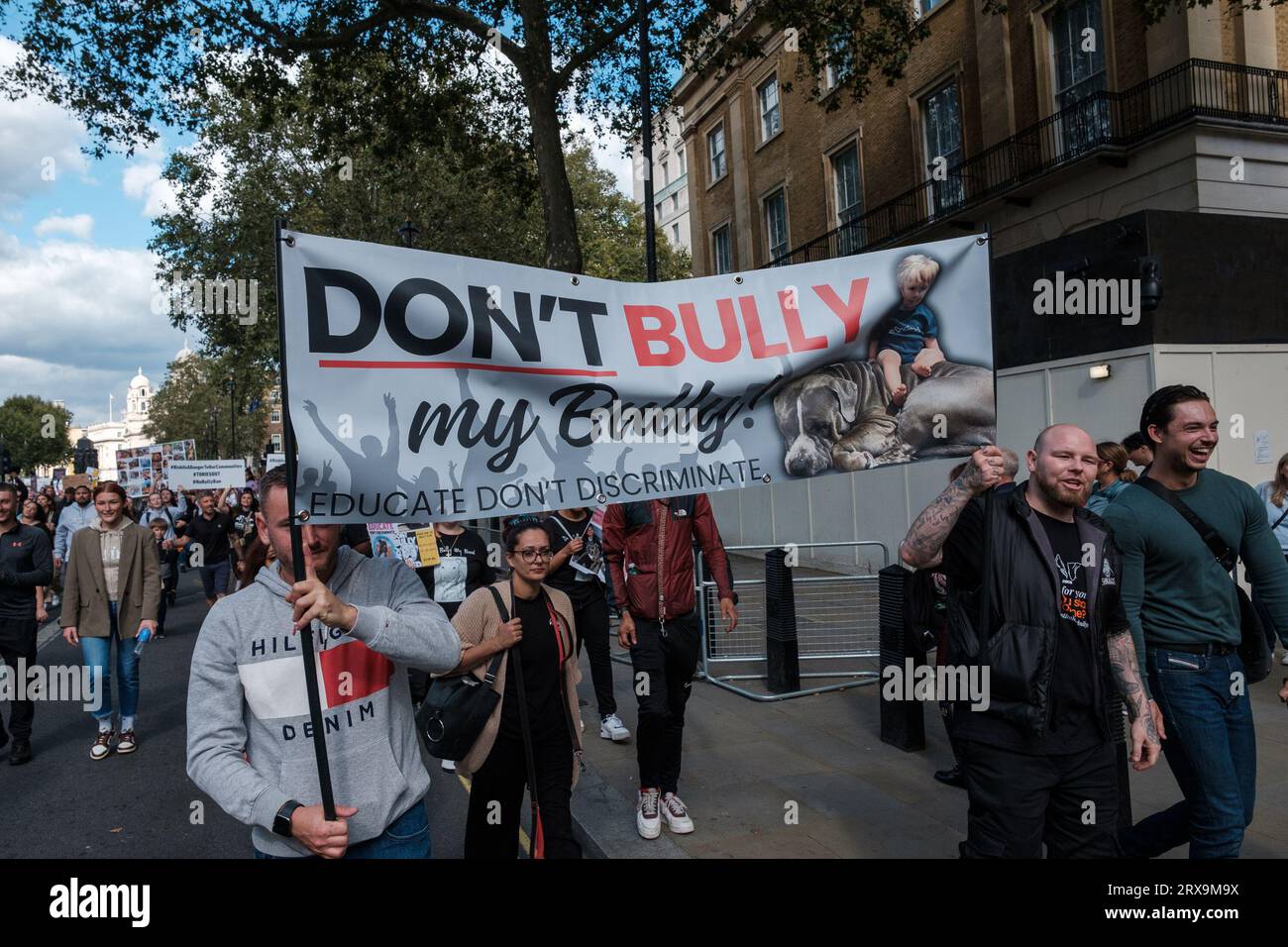 Xl bully breed controversy hi-res stock photography and images - Alamy