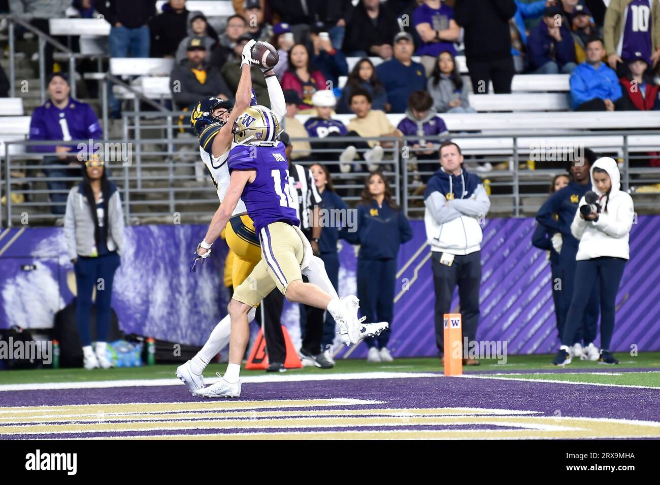 Seattle, WA, USA. 23rd Sep, 2023. California Golden Bears wide receiver ...