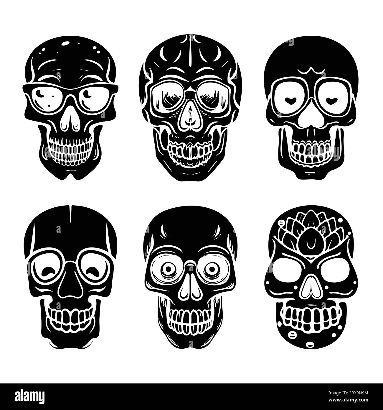 Human skull bundle hi-res stock photography and images - Alamy