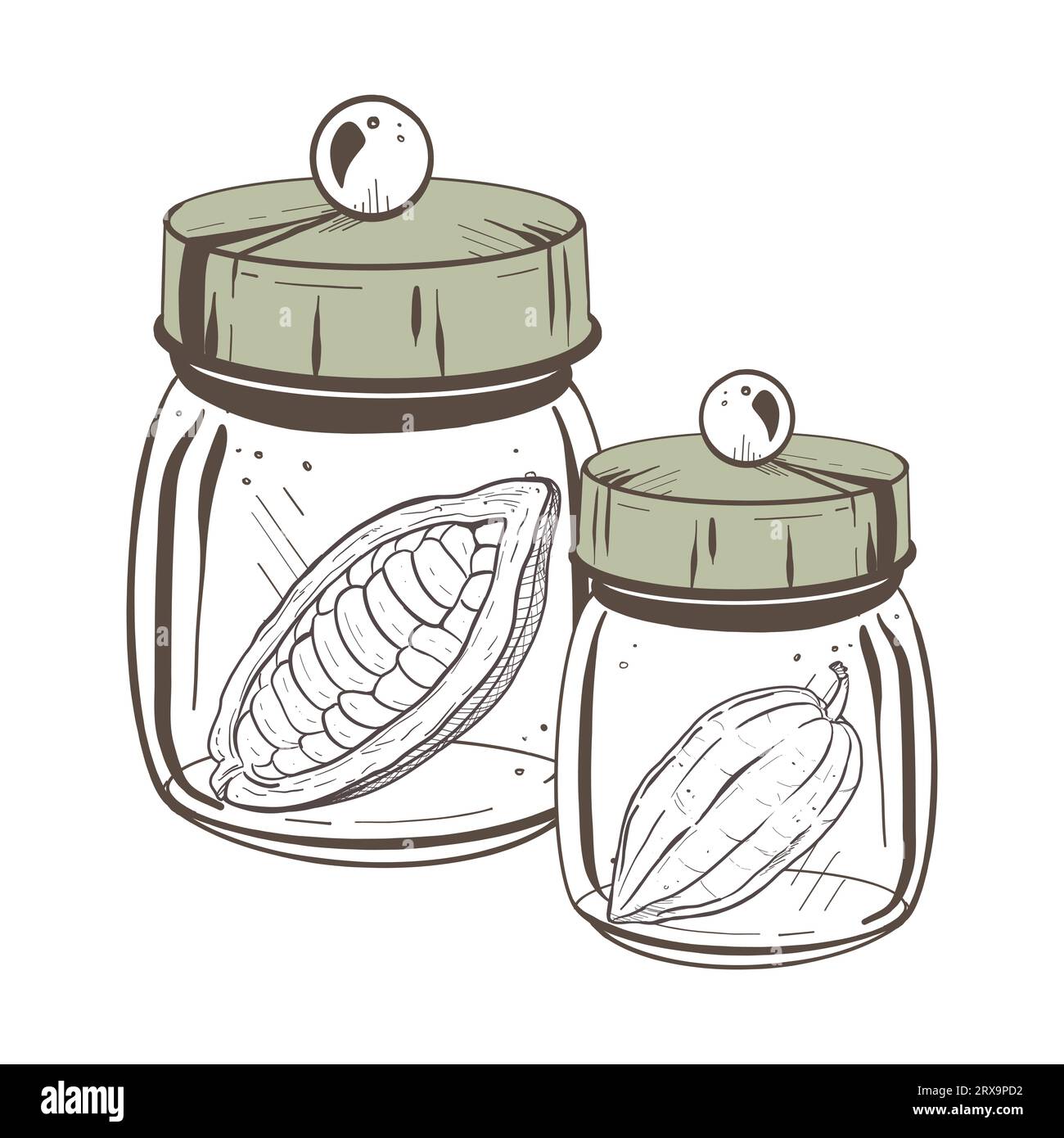 Vector illustration set of two closed glass containers with solid lid ...