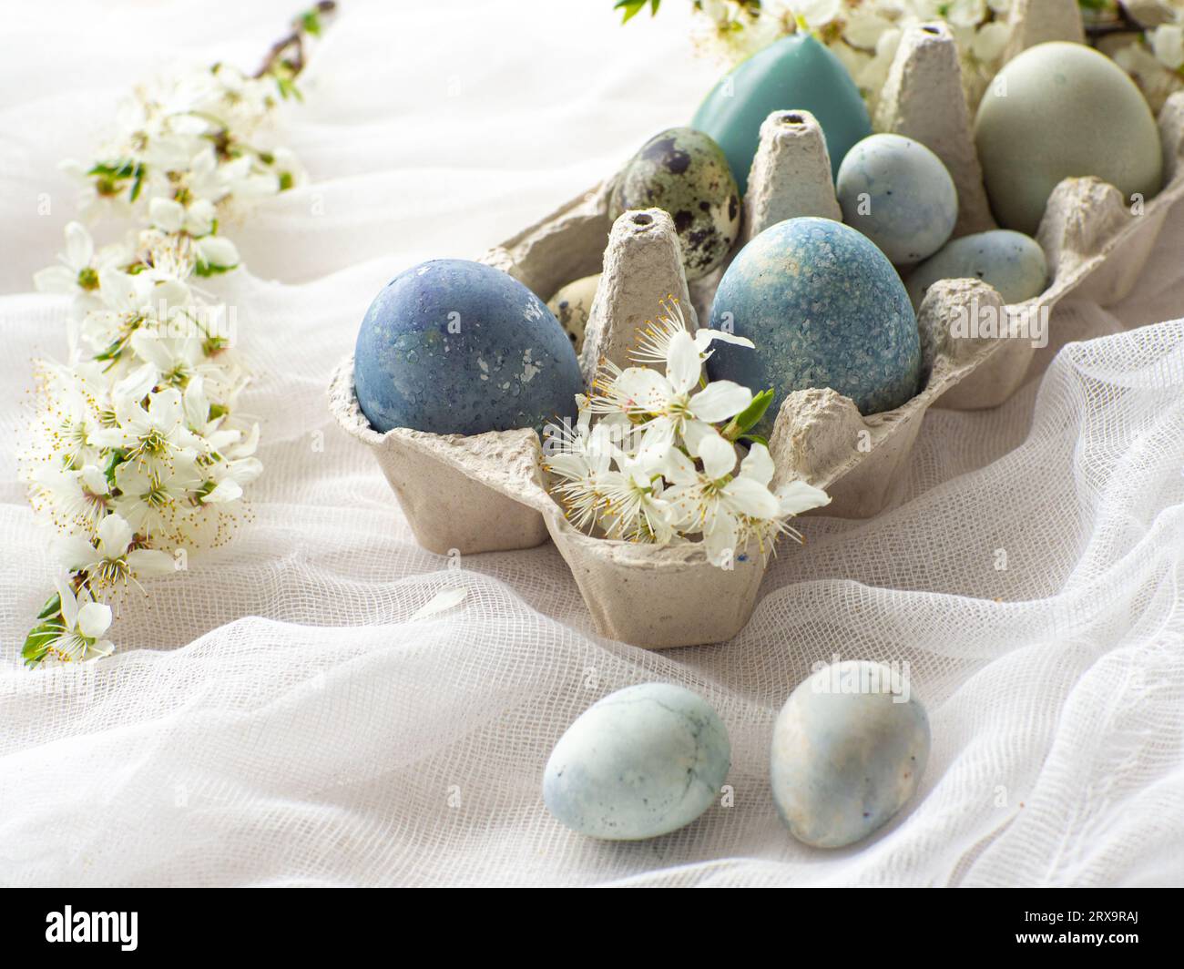 Blue painted easter eggs in tray. Dyed Easter eggs with marble stone ...