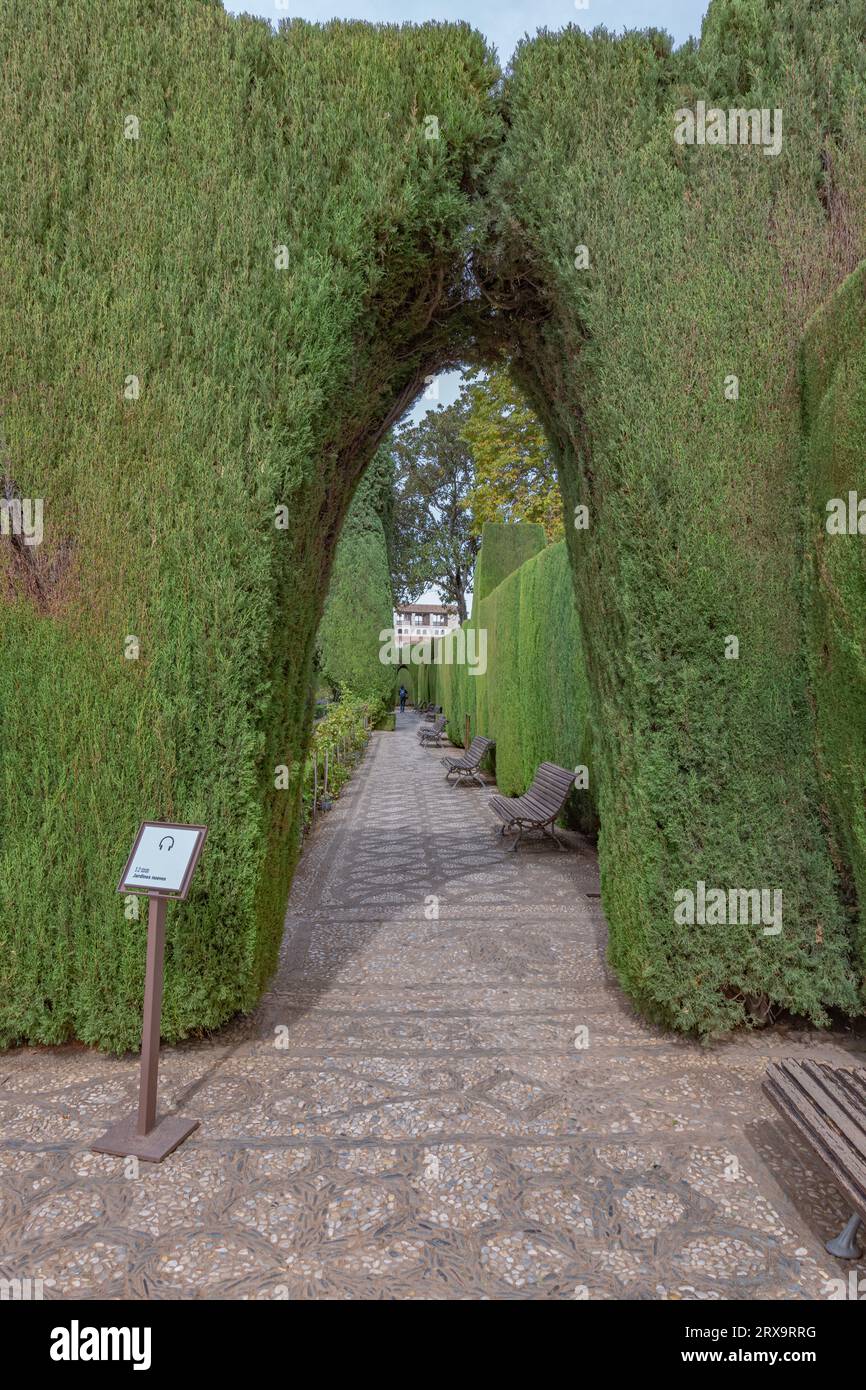 Generalife. Gardens and summer palace of the emirs of Granada from Nasrid dynasty, Alhambra ...