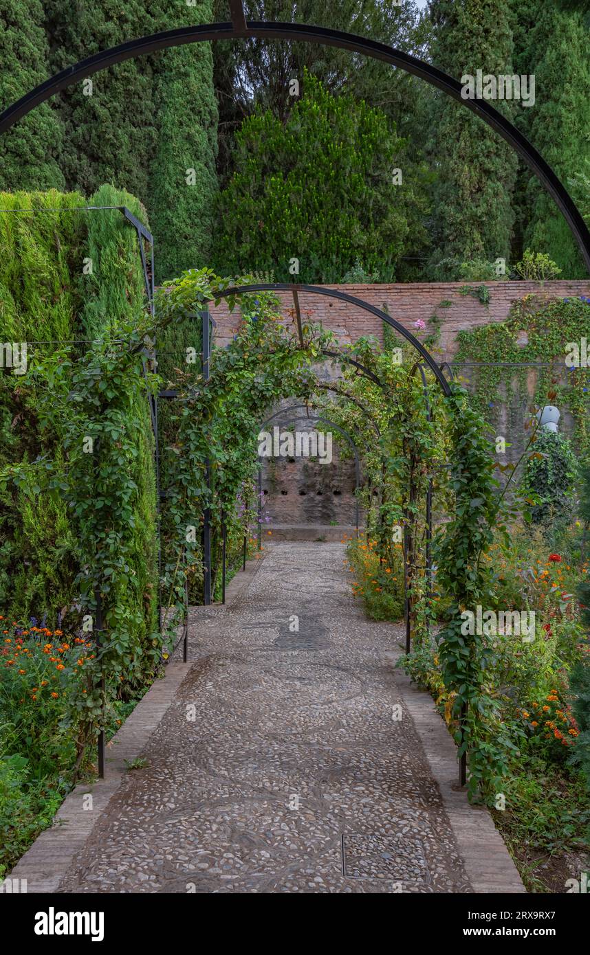 Generalife. Gardens and summer palace of the emirs of Granada from Nasrid dynasty, Alhambra ...