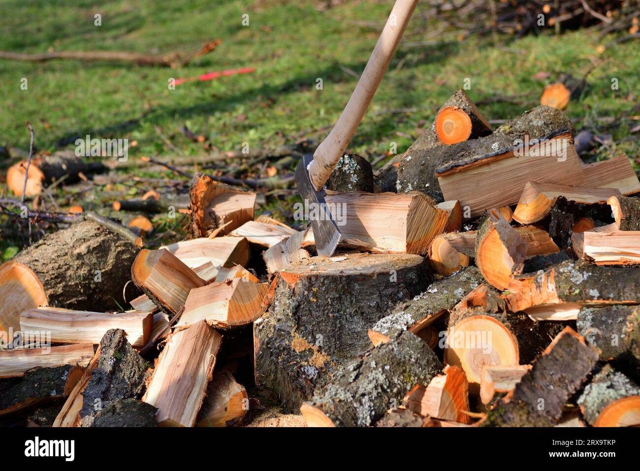 A pile of chopped wood in an orchard in the village Stock Photo - Alamy