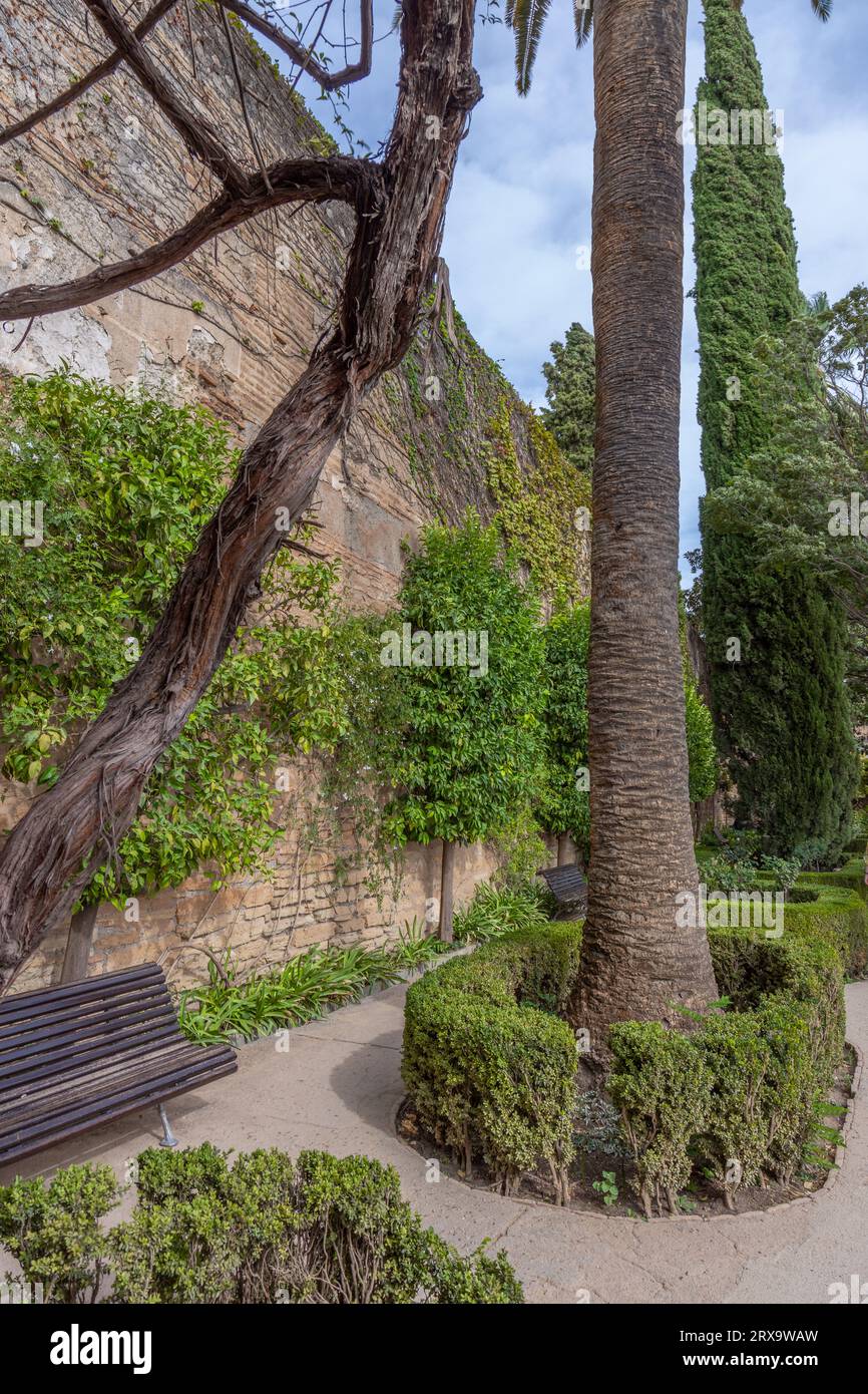 Alcazaba medieval fortress, Alhambra de Granada complex. Ramparts ...
