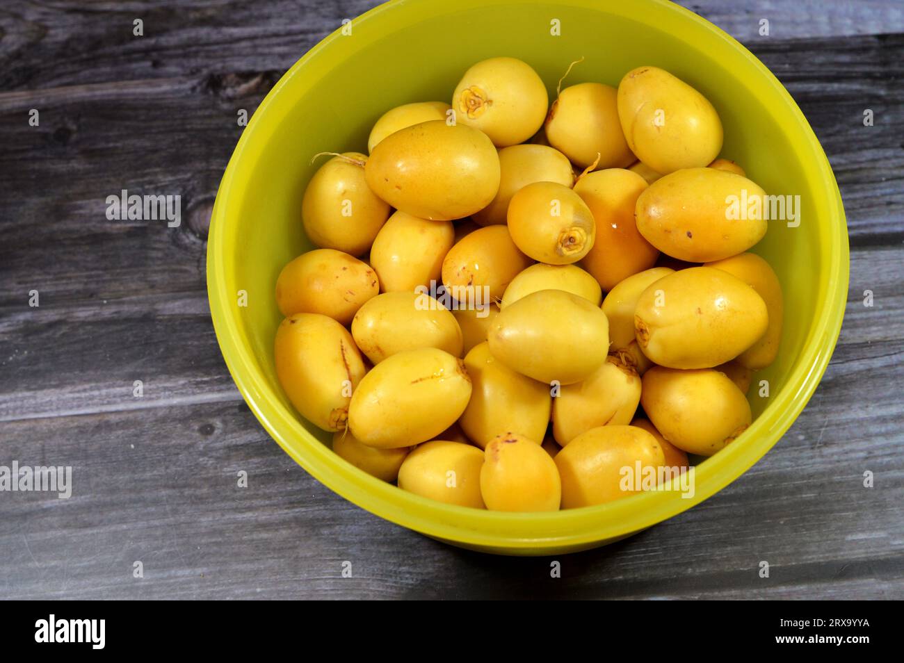 Yellow Barhi dates, botanically classified as Phoenix dactylifera ...