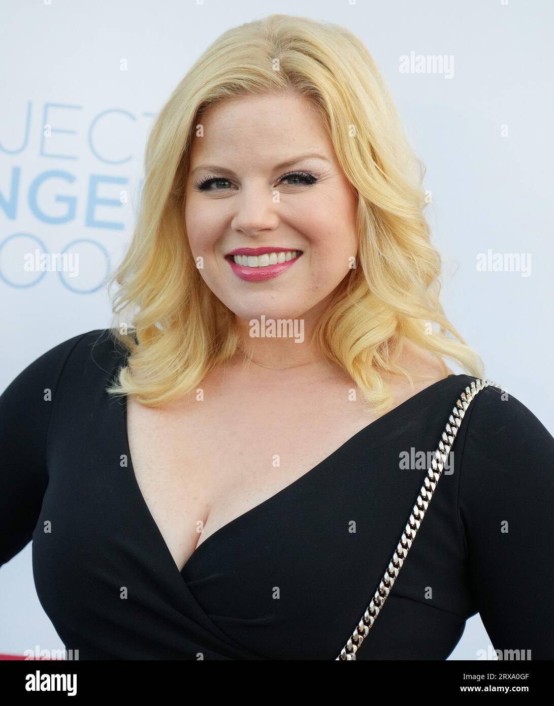 Los Angeles, USA. 23rd Sep, 2023. Megan Hilty arrives at the Project ...