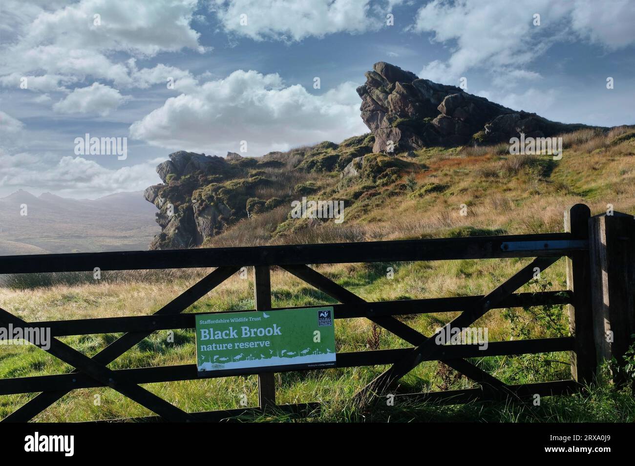 BLACK BROOK NATURE RESERVE Stock Photo - Alamy