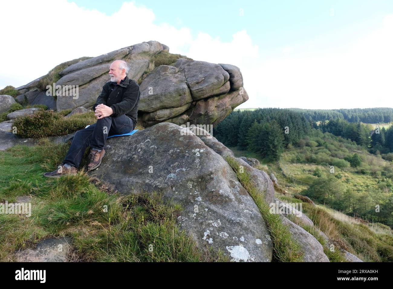 BLACK BROOK NATURE RESERVE Stock Photo - Alamy
