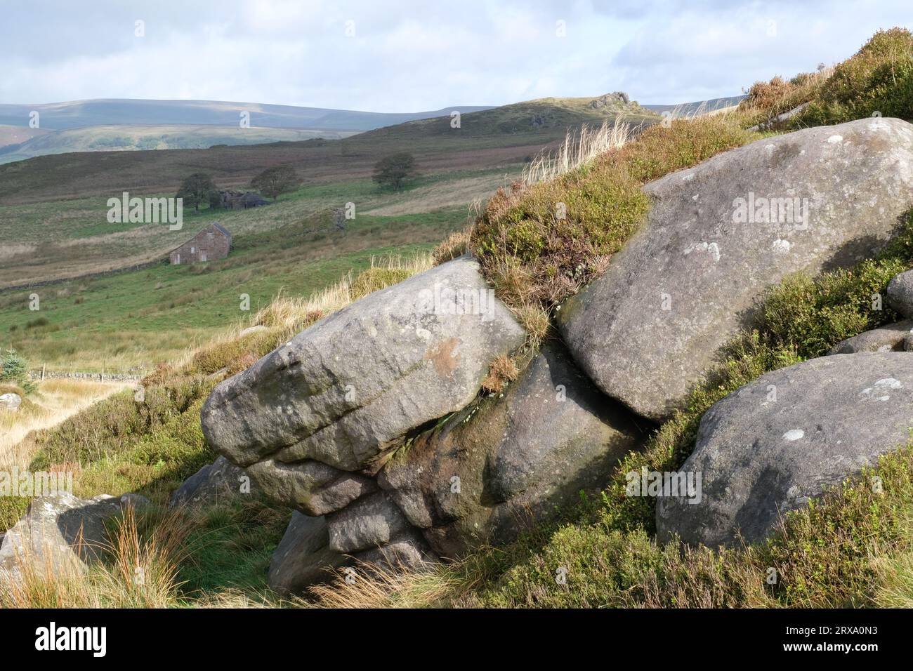 BLACK BROOK NATURE RESERVE Stock Photo - Alamy