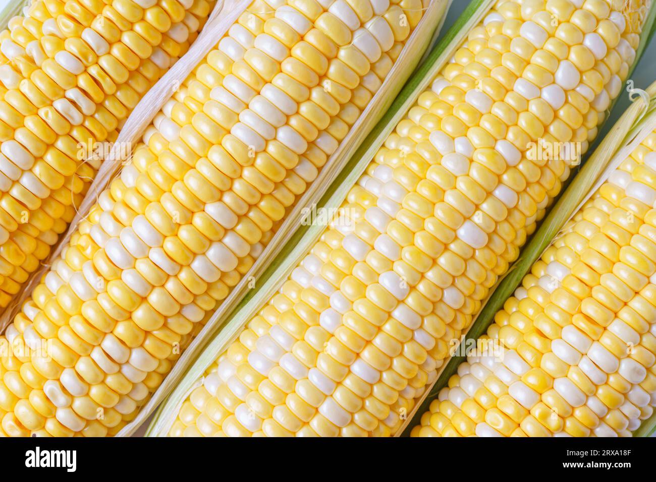 Yellow Corn Food Texture Background Food Texture Yellow Corn Texture.