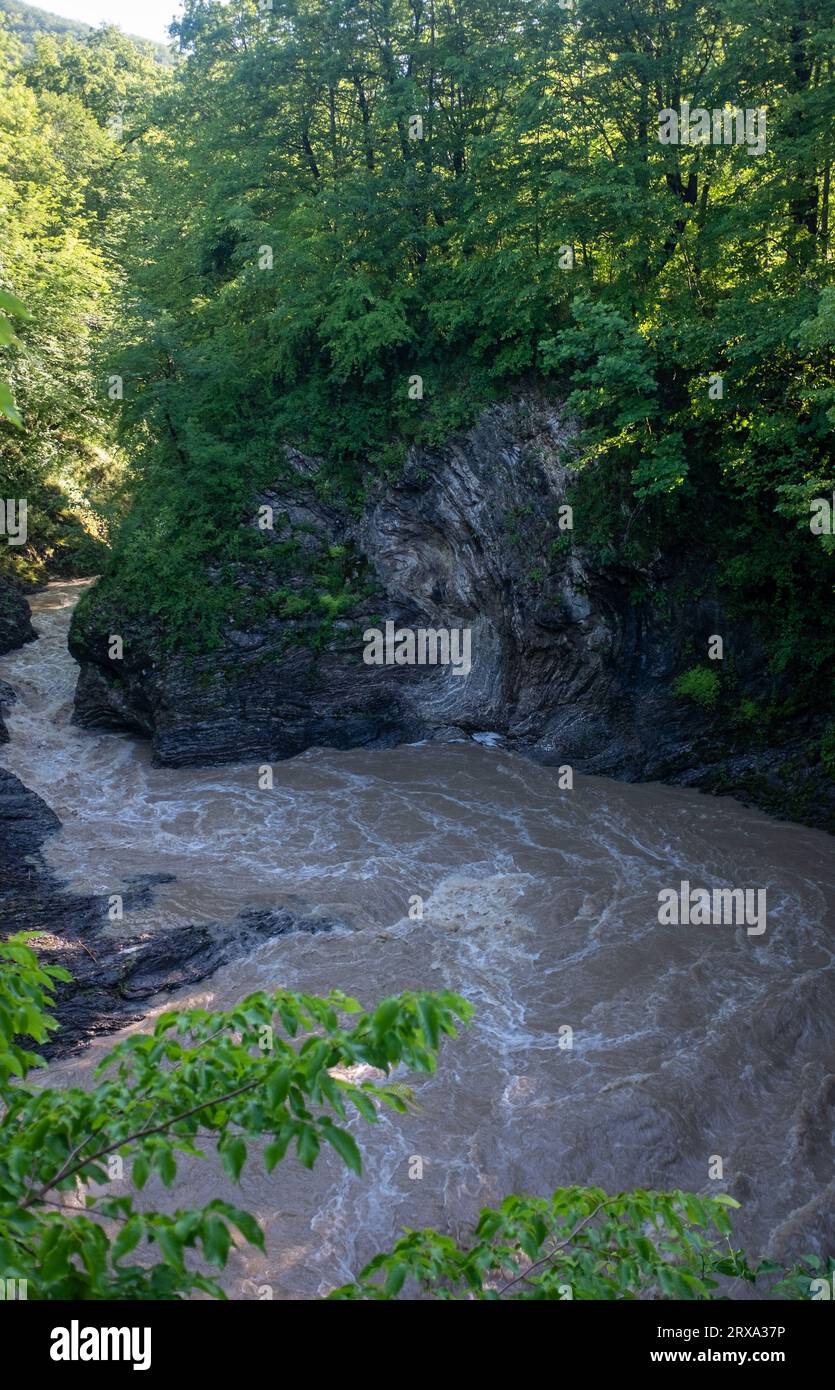 Muddy water flow of a stormy river among the green forest of a mountain ...
