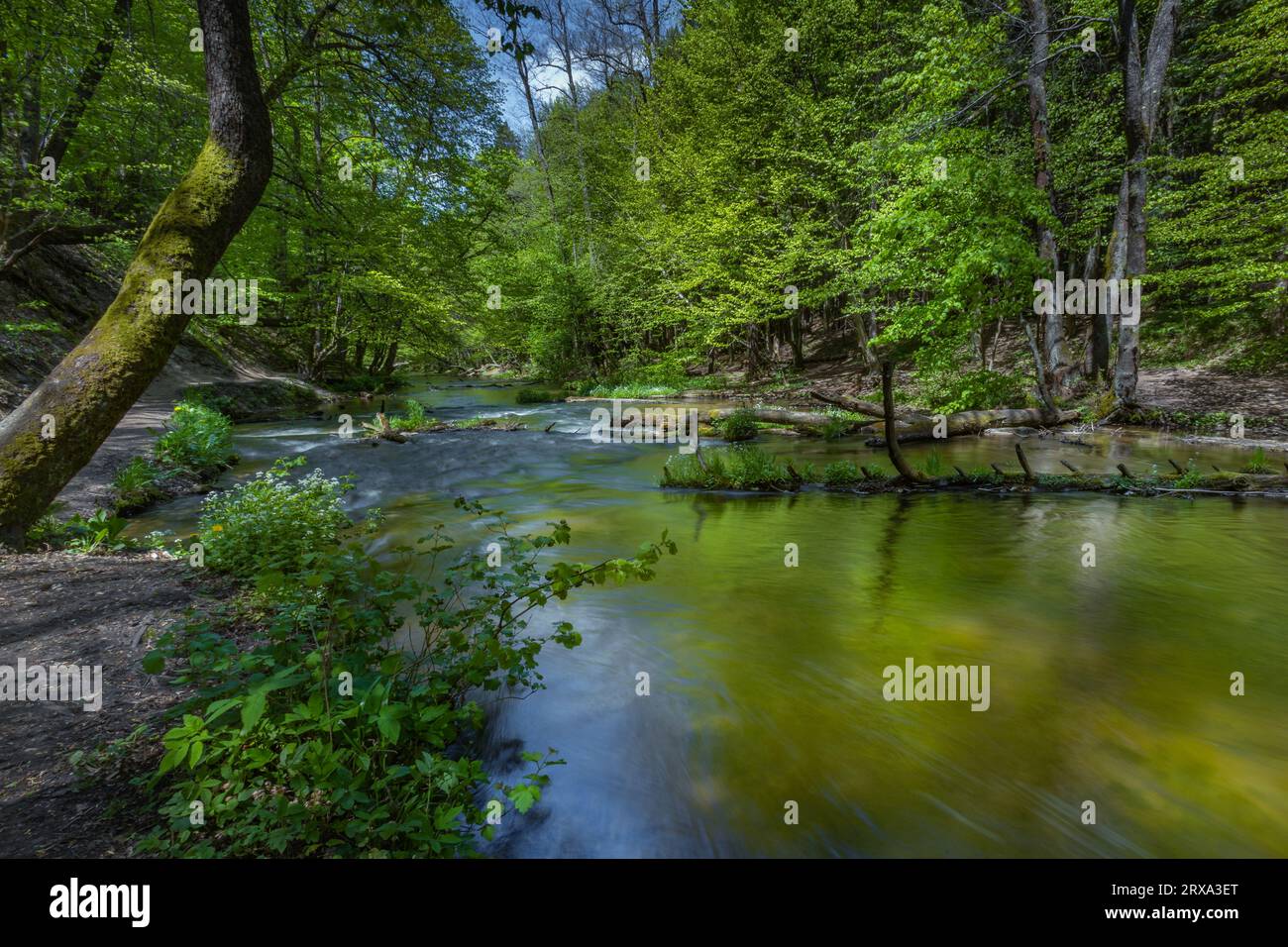 Nad Tanwia Nature Reserve, The gorge of the Tanew River, Sopot River ...