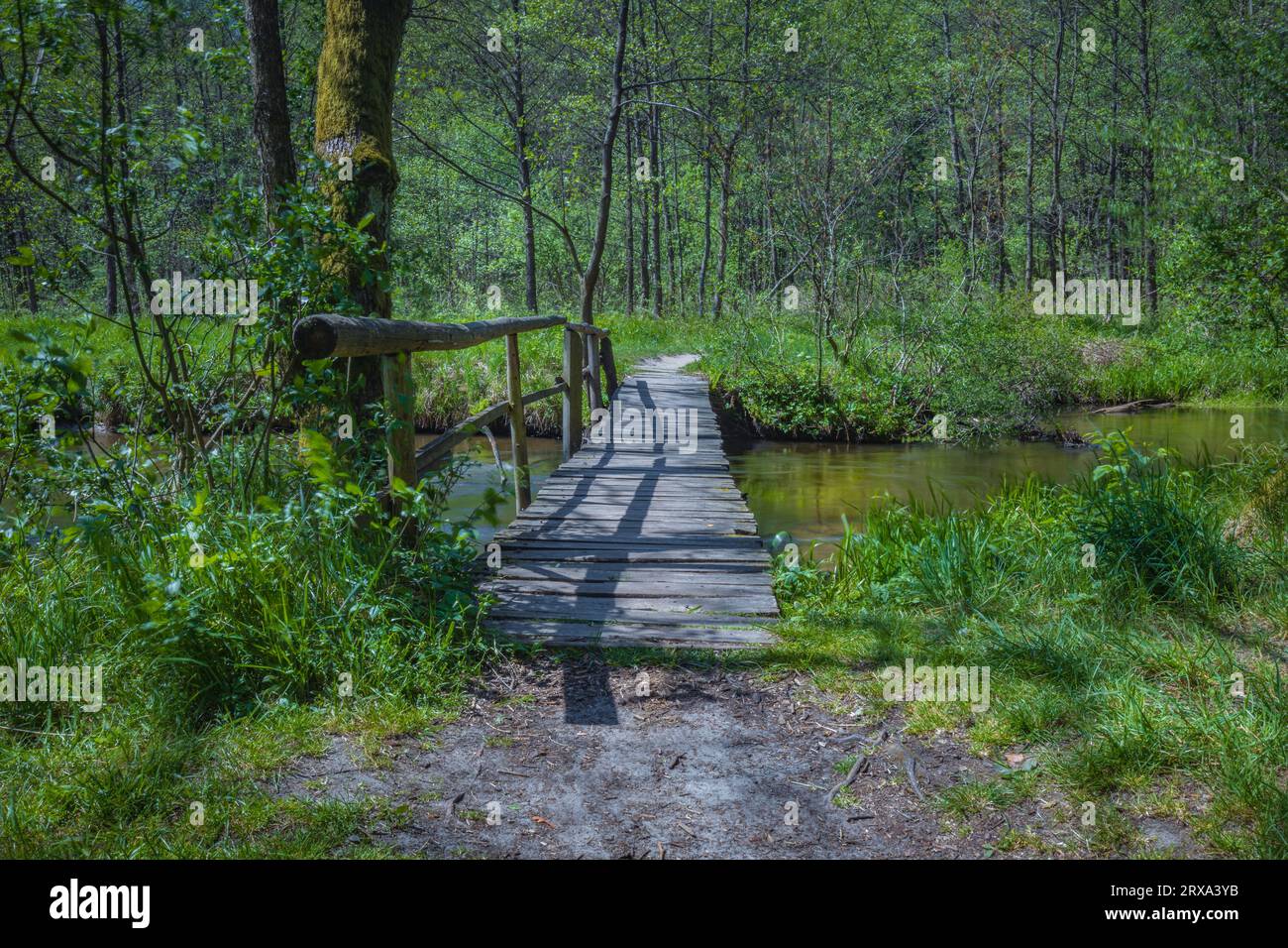 Nad Tanwia Nature Reserve, The gorge of the Tanew River, Sopot River ...