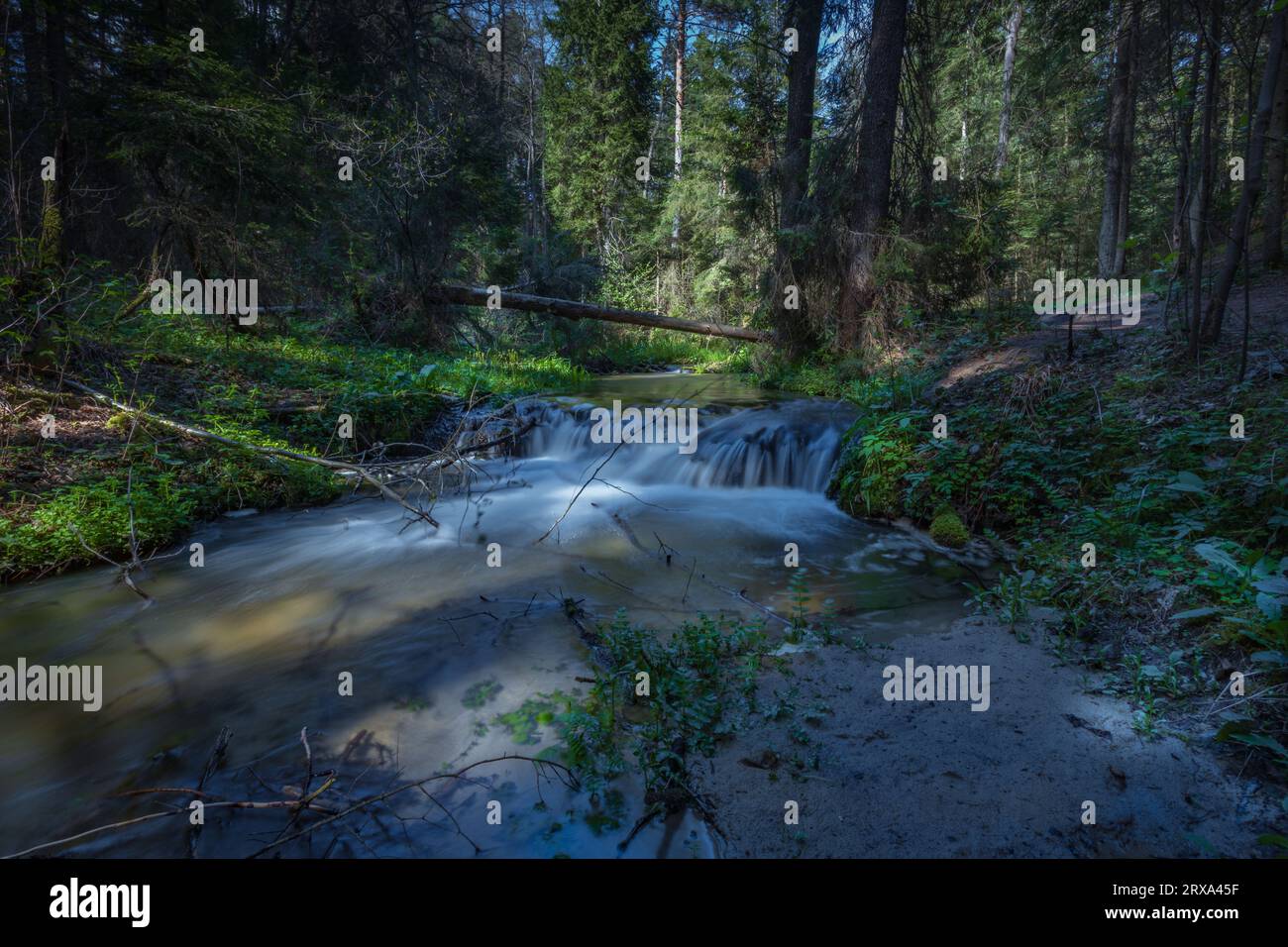 Nad Tanwia Nature Reserve, The gorge of the Tanew River, Sopot River ...