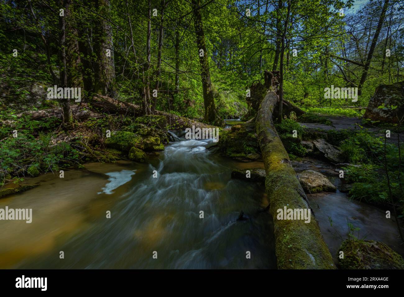 Czartowe Pole Nature Reserve, The gorge of the Devil's Field ...