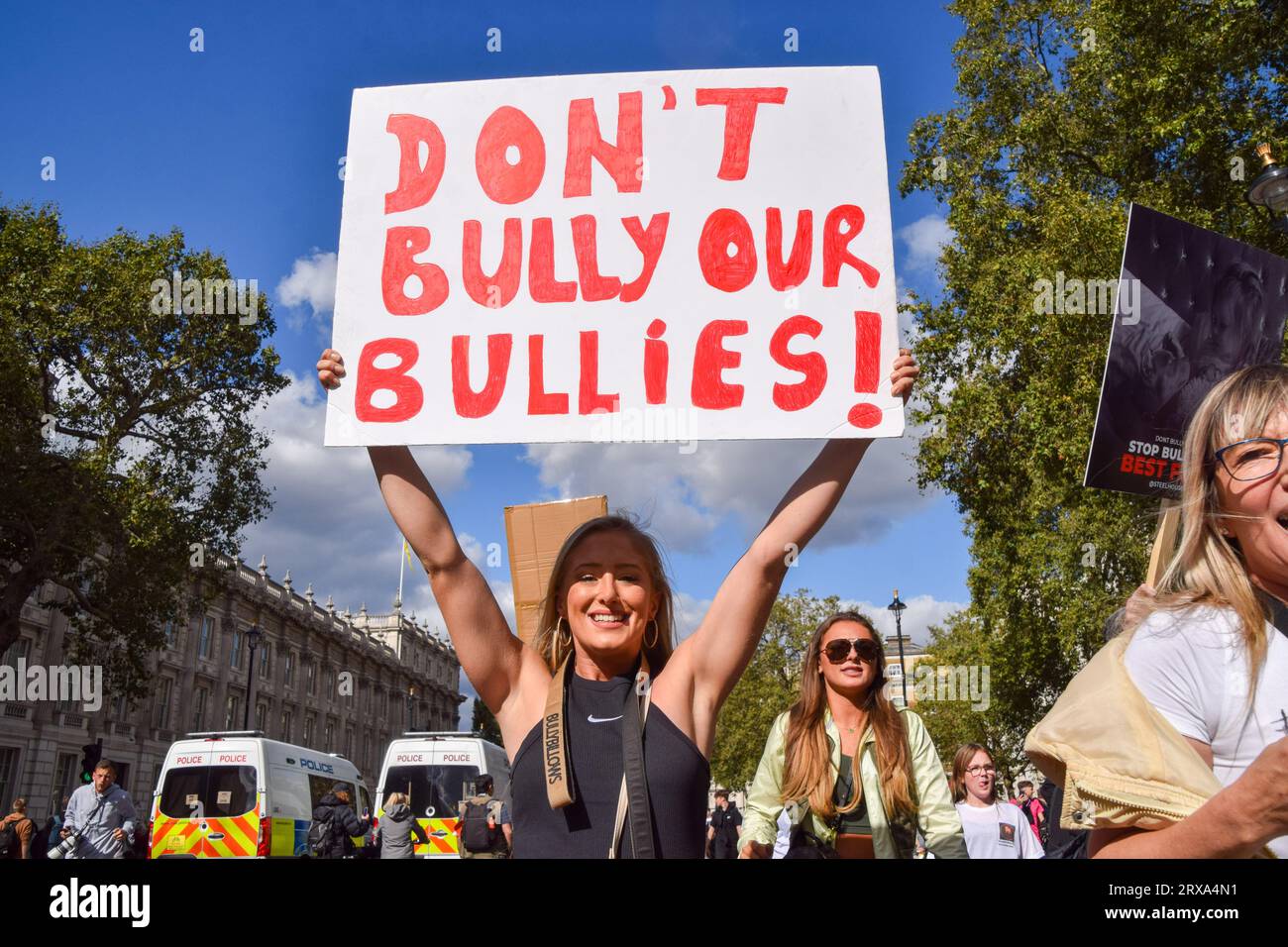 American bully xl hi-res stock photography and images - Alamy