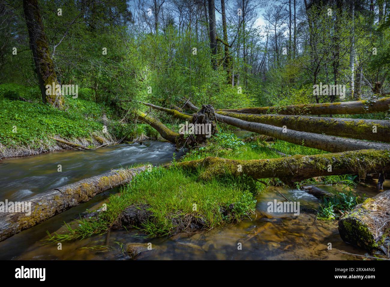 Czartowe Pole Nature Reserve, The gorge of the Devil's Field ...