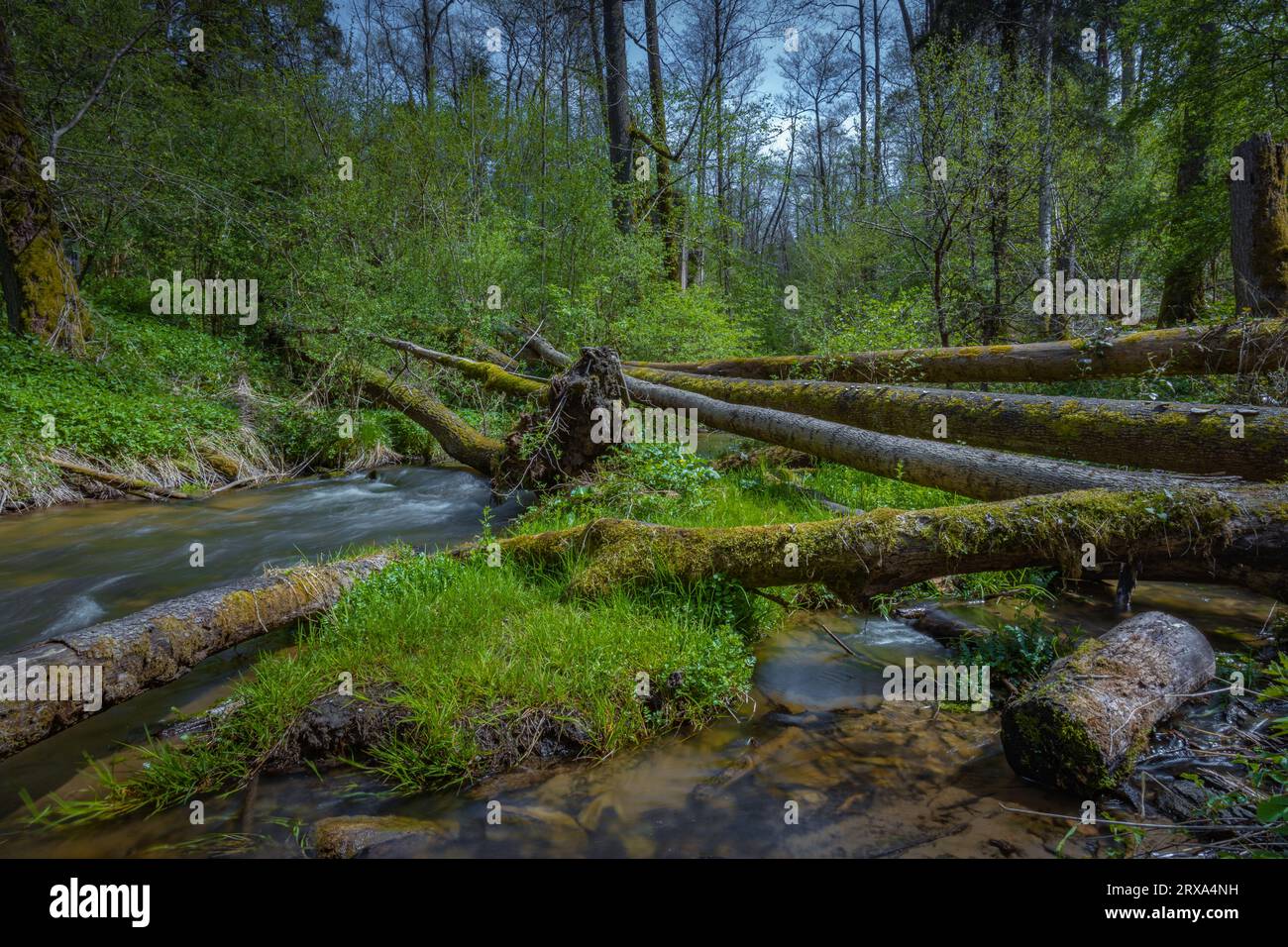 Czartowe Pole Nature Reserve, The gorge of the Devil's Field ...