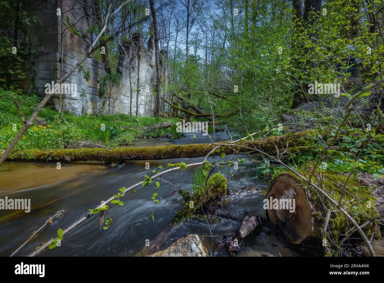 Czartowe Pole Nature Reserve, The gorge of the Devil's Field ...