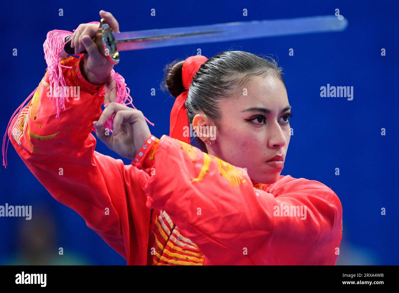 Brunei's Lachkar Basma performs during women's taijijian wushu at the ...